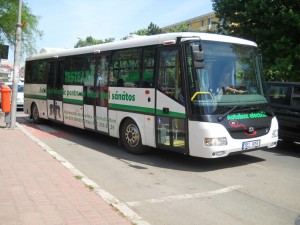 Autobuzul electric, adorat de tulceni pentru că a fost… gratis ...