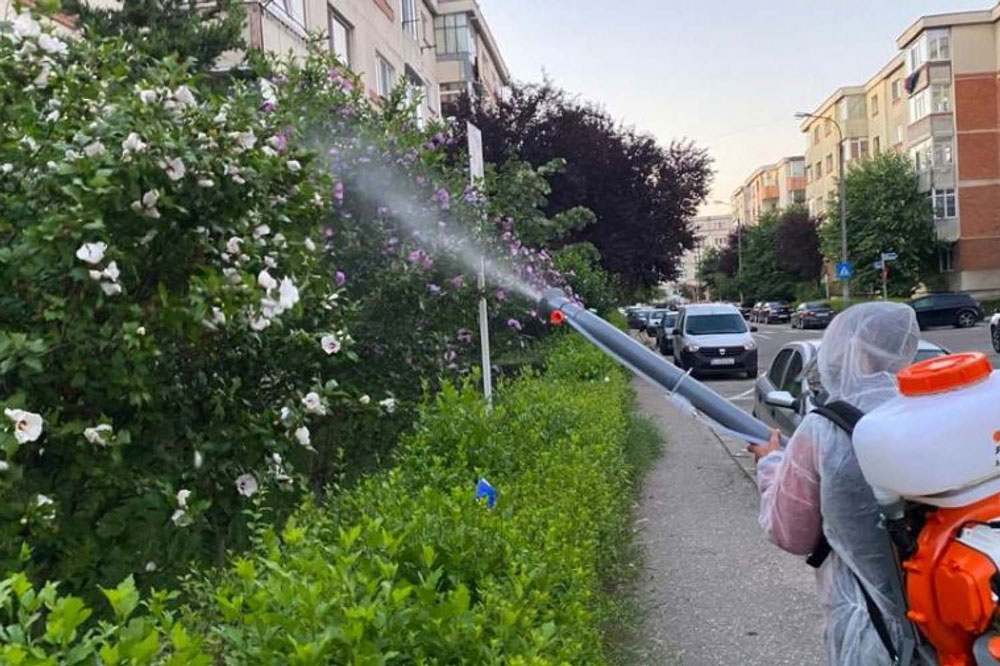 Coral Impex face dezinsecţie la Tulcea, chiar dacă a expirat contractul ...