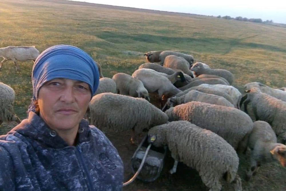 Zootehnia tulceană suferă de pe urma lipsei de personal: „Nu găsim ...